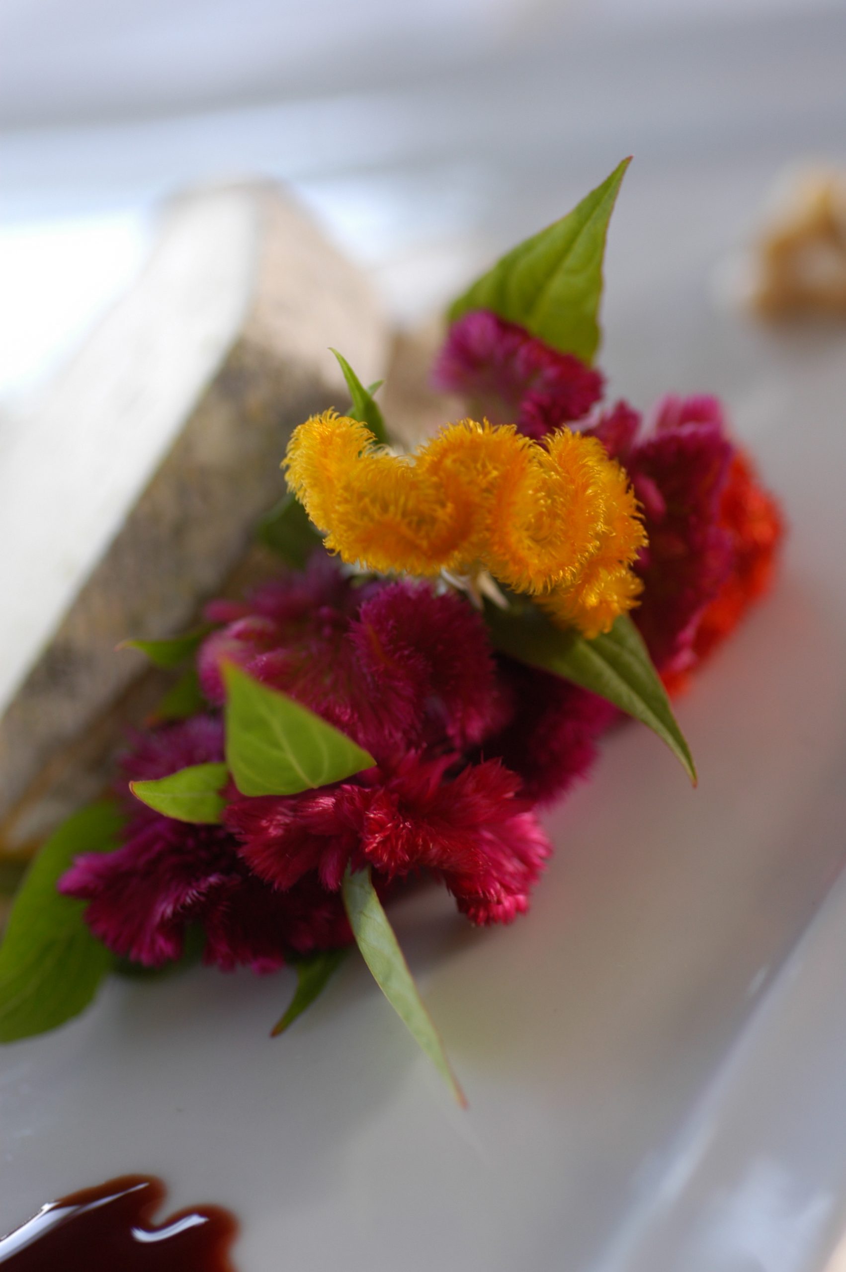Edible Garnishes – Microgreens & Crystalized Flowers ★ Sysco Bahamas ...