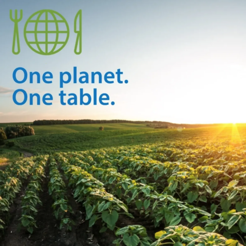 Sustainability ★ Sysco Bahamas Food Services